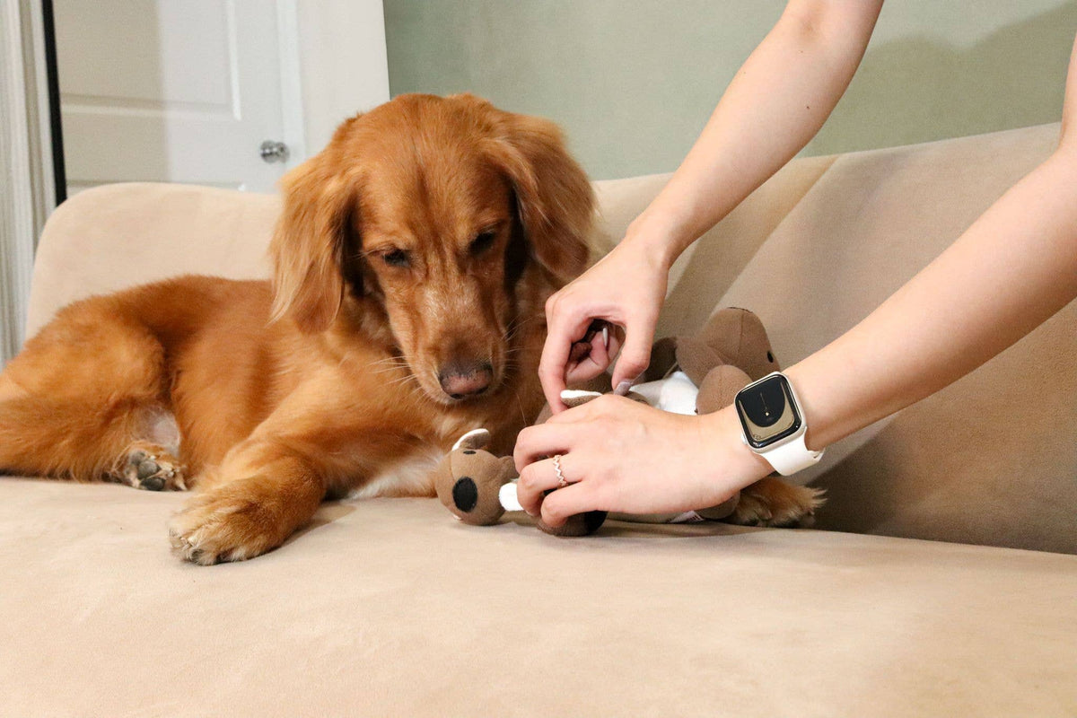 Kangaroo – Chop Chop Chews